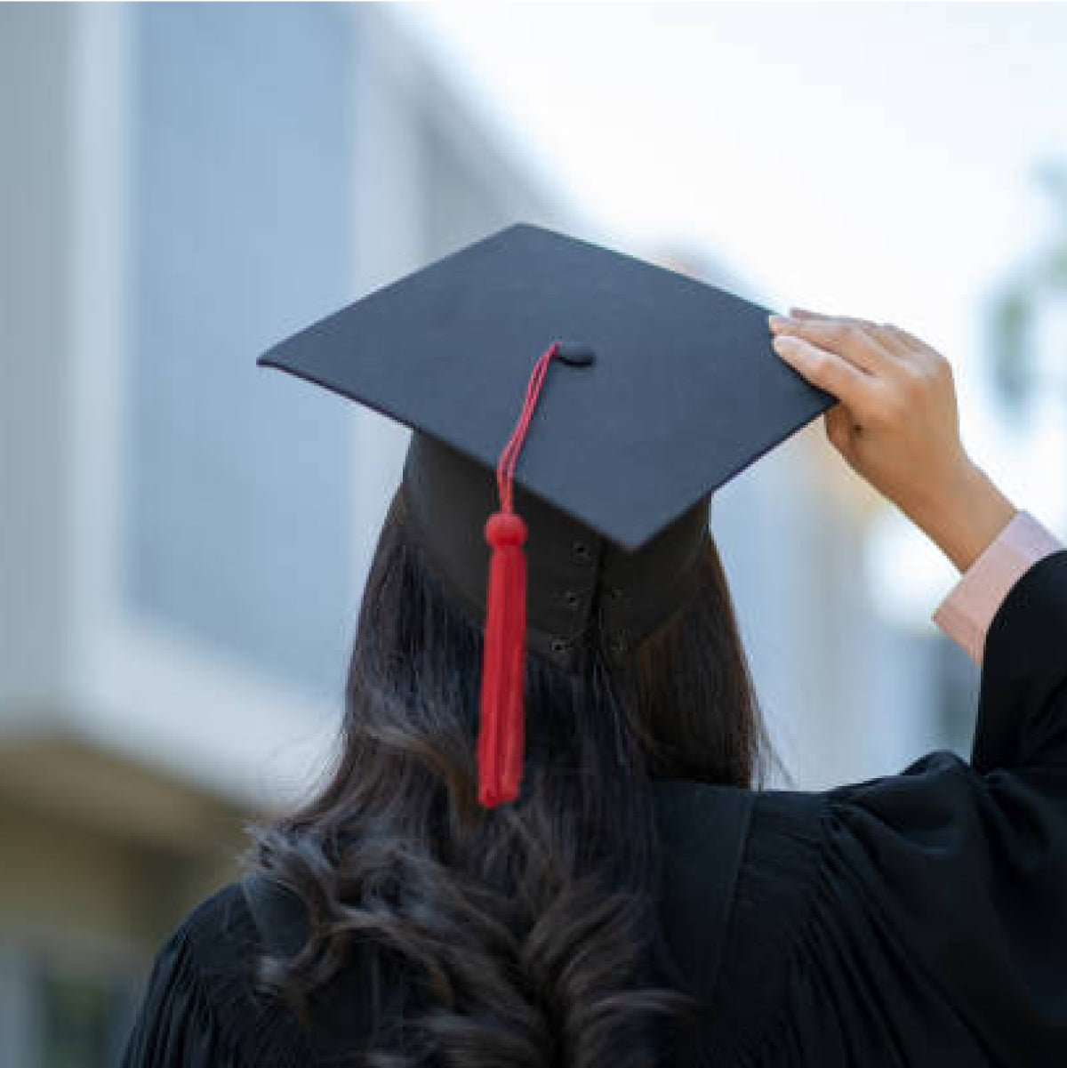 School & Graduation DTF – Sumotransfers